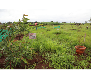 herbal garden, AMAMCHRC, Kolhapur